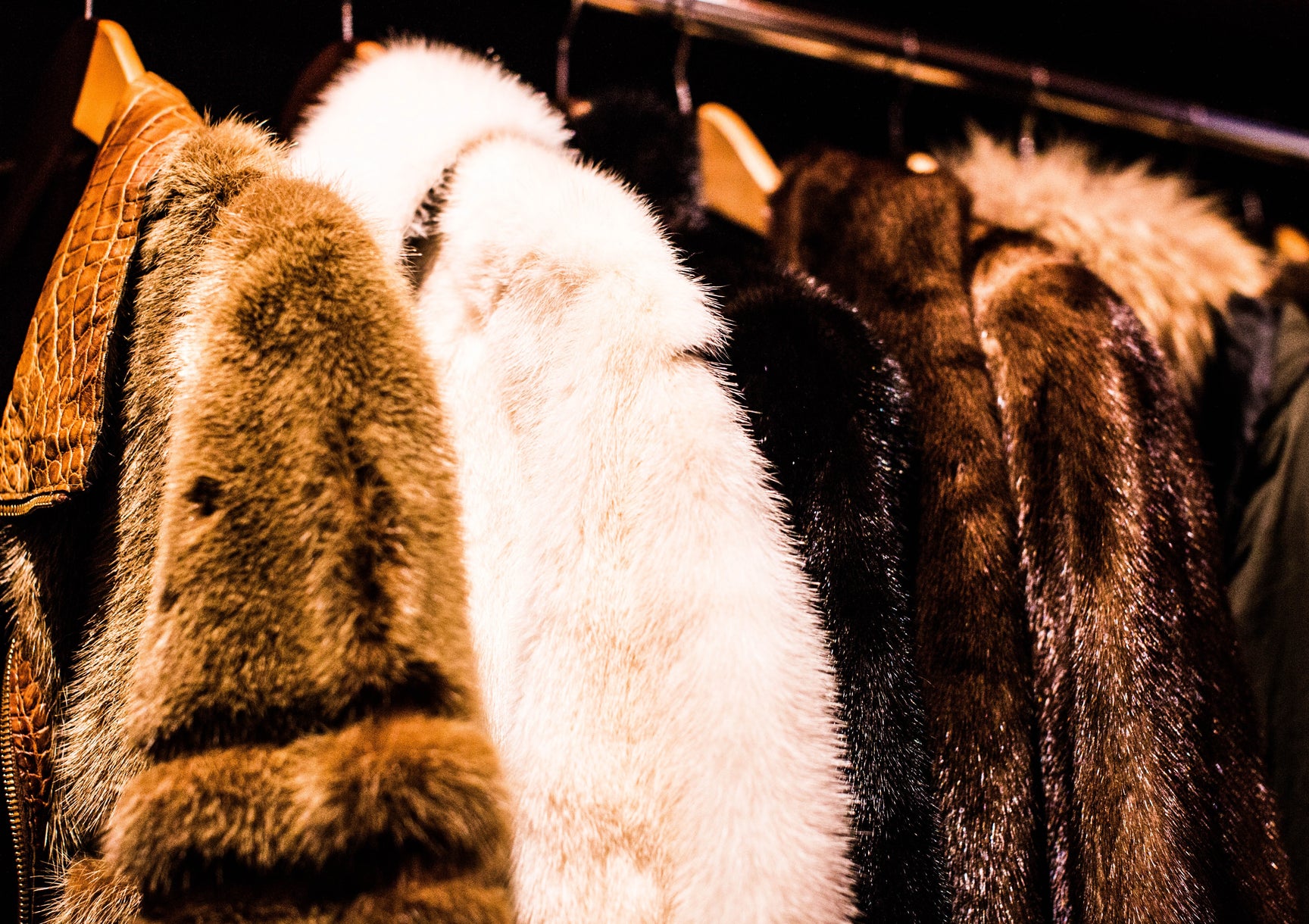 David Hunt Furs & Leathers, Inc. – David Hunt Furs and Leathers, Inc.